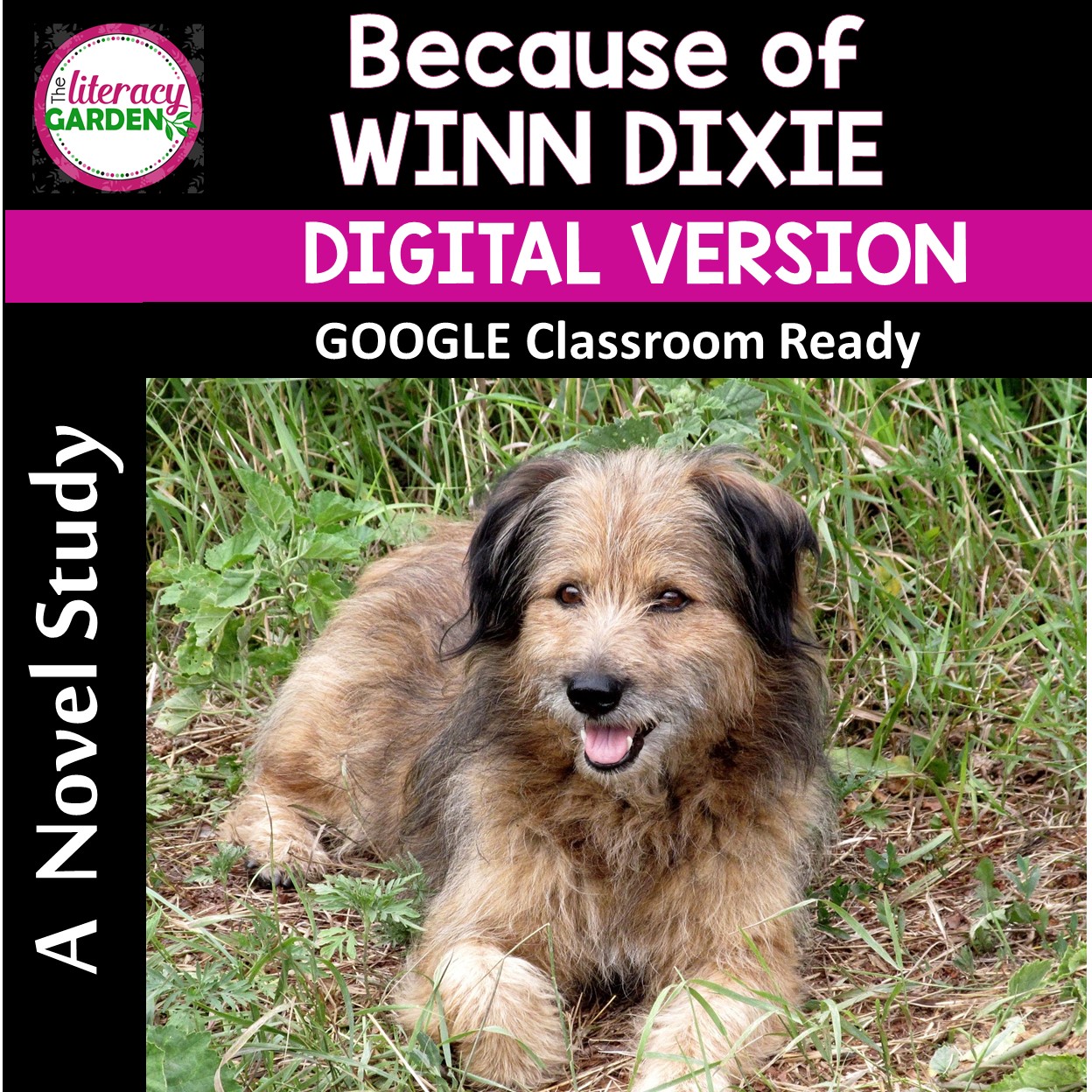 Digging Deeper with Novel Studies - The Literacy Garden