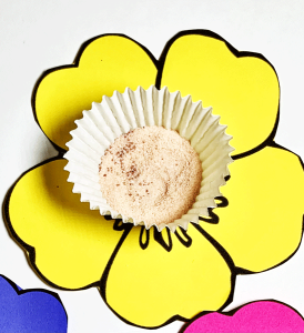 Fun Pollination STEM Activity for Plant Life Cycle Lessons - The ...