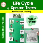 7 Quick Tips to Create Exciting Plant Life Cycle Lessons - The Literacy ...