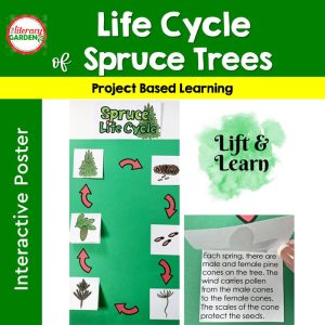 7 Quick Tips to Create Exciting Plant Life Cycle Lessons - The Literacy ...