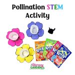 7 Quick Tips to Create Exciting Plant Life Cycle Lessons - The Literacy ...