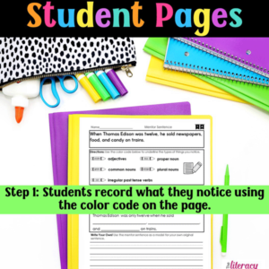 Mentor Sentences - Teach It So They Remember It! - The Literacy Garden